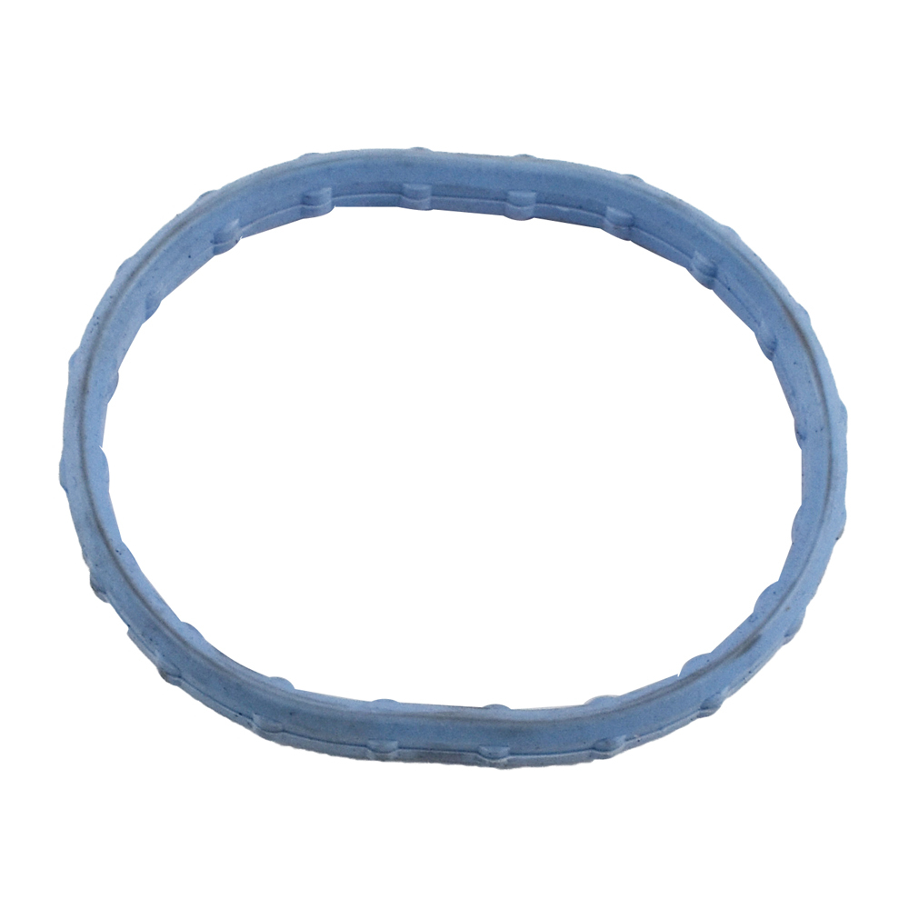 Genuine Ford Inlet Manifold O Ring Gasket for Ecosport Fiesta Focus