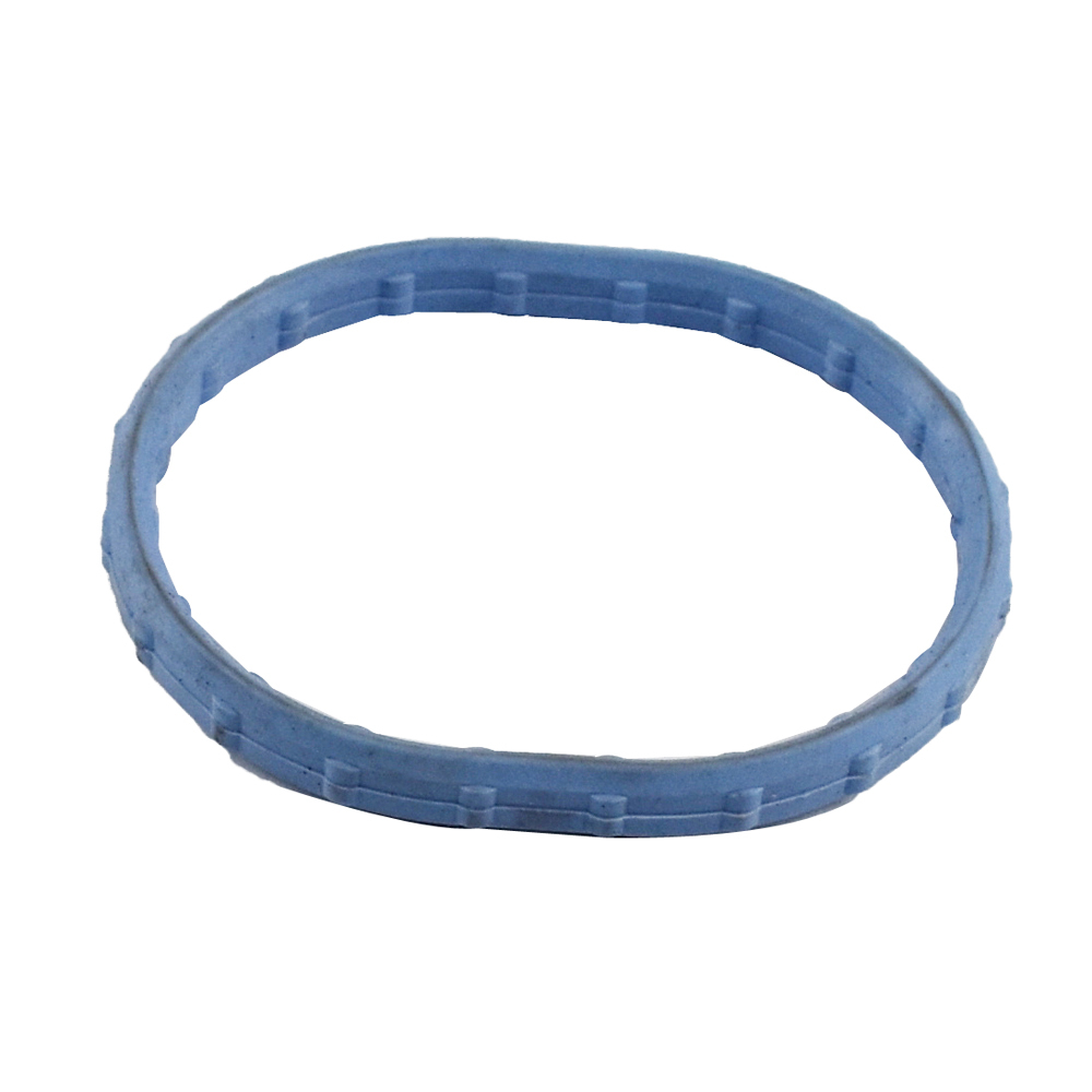 Genuine Ford Inlet Manifold O Ring Gasket for Ecosport Fiesta Focus